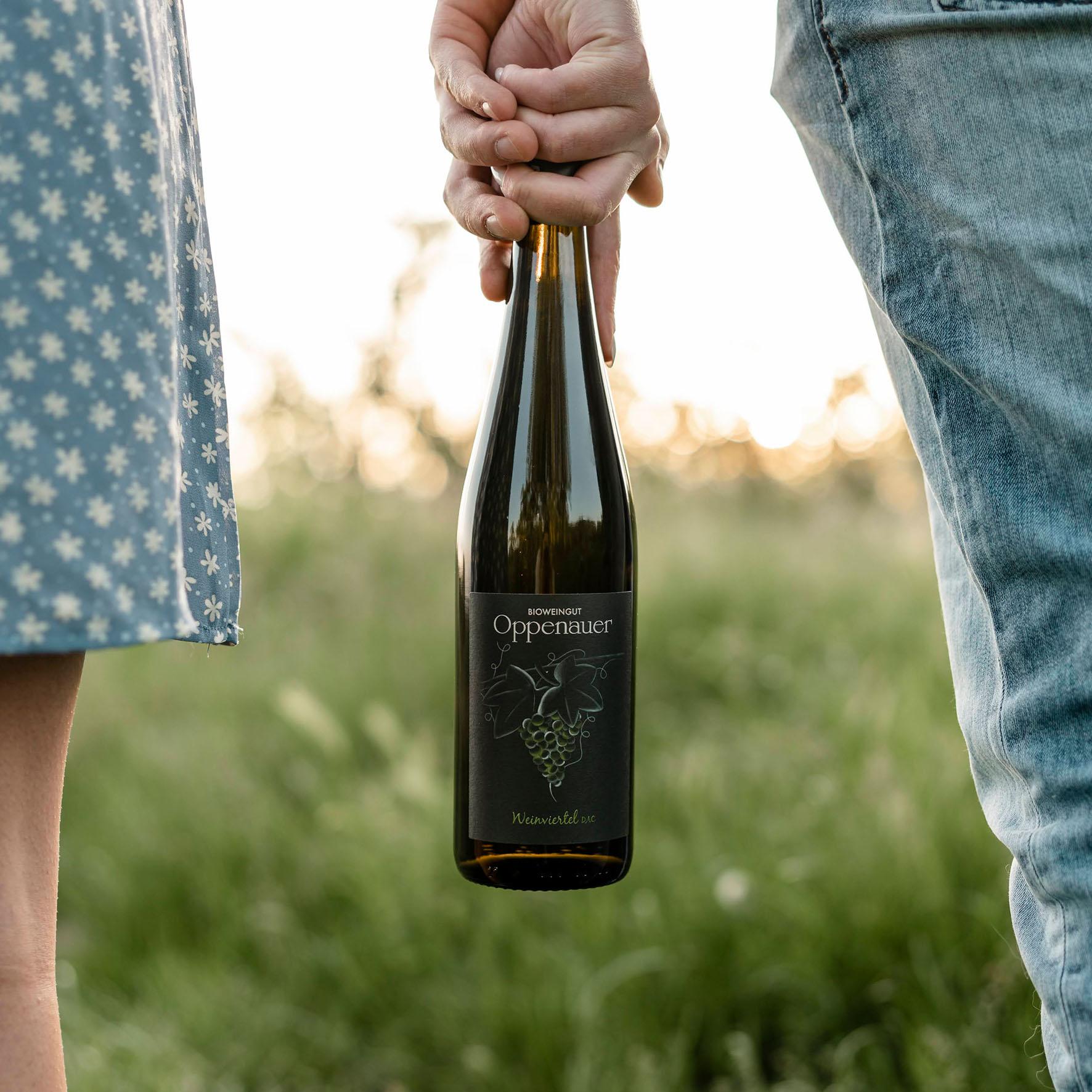 Home | Weingut Oppenauer Poysdorf